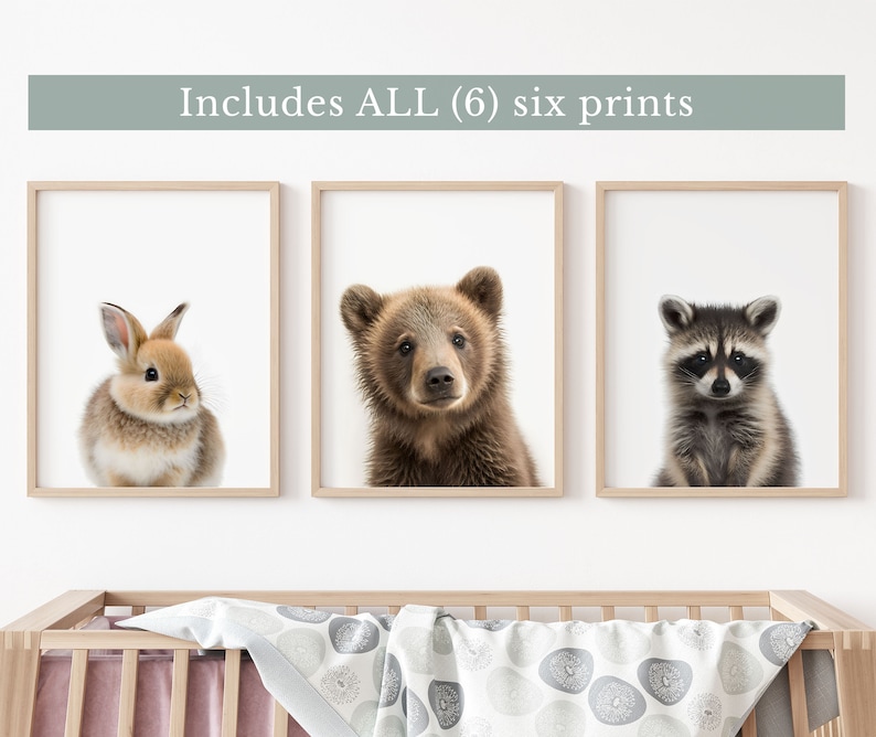Cute Baby Animals, Set of 6 Woodland Creatures Prints, Outdoor Nature ...