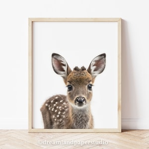 Cute Baby Animals, Set of 6 Woodland Creatures Prints, Outdoor Nature ...