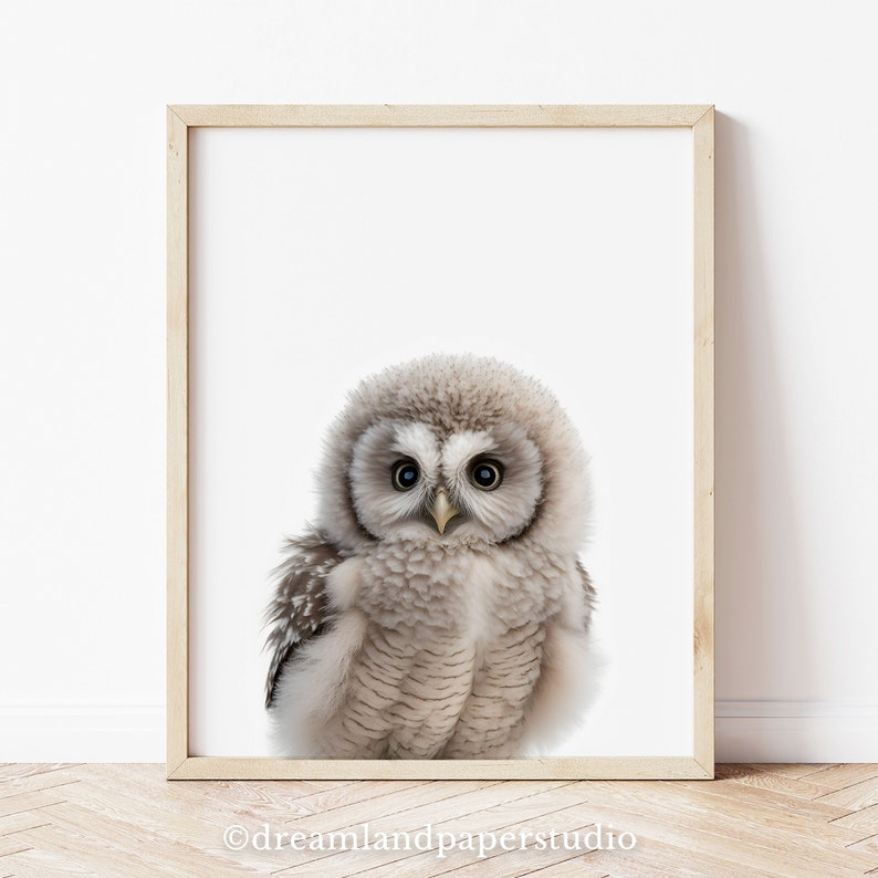 Cute Baby Animals, Set of 6 Woodland Creatures Prints, Outdoor Nature ...
