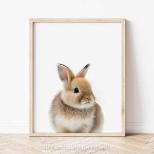 Cute Baby Animals, Set of 6 Woodland Creatures Prints, Outdoor Nature ...