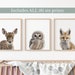 Cute Baby Animals, Set of 6 Woodland Creatures Prints, Outdoor Nature ...