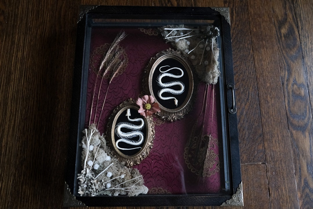 Snake Shadow Box - Etsy