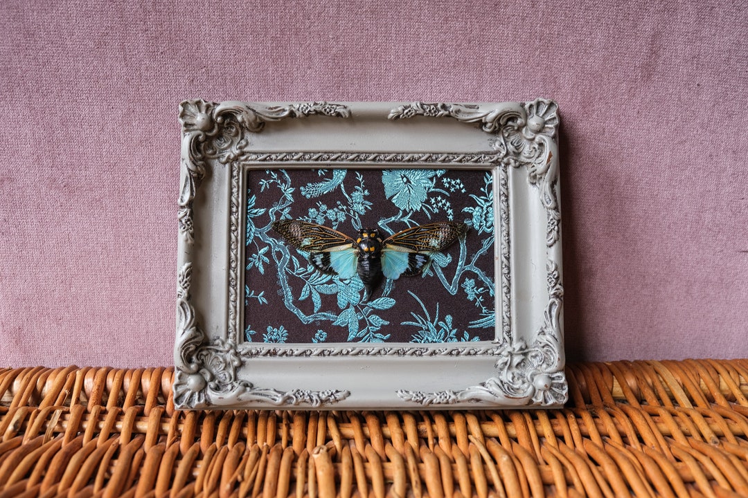 Blue Cicada Picture Frame - Etsy