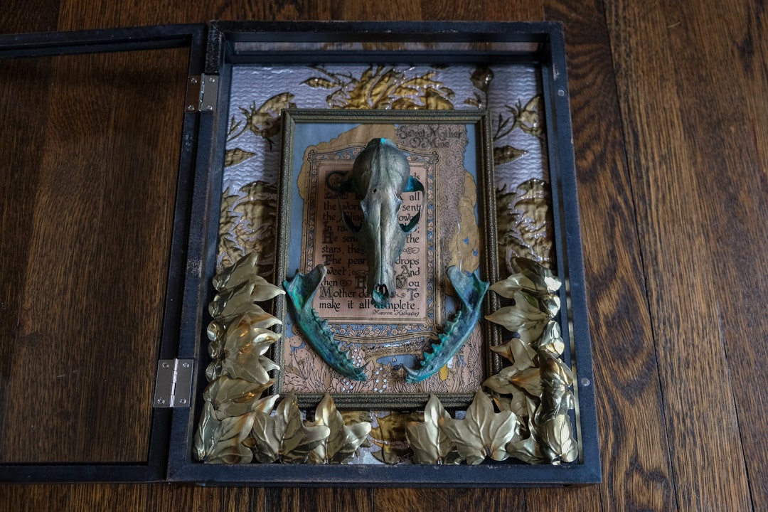 Fox Skull Shadow Box - Etsy