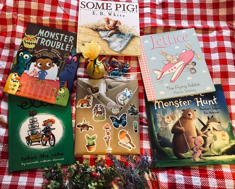 Blind Date With a Book for Kids Mystery Book, Gift for Book Lovers ...