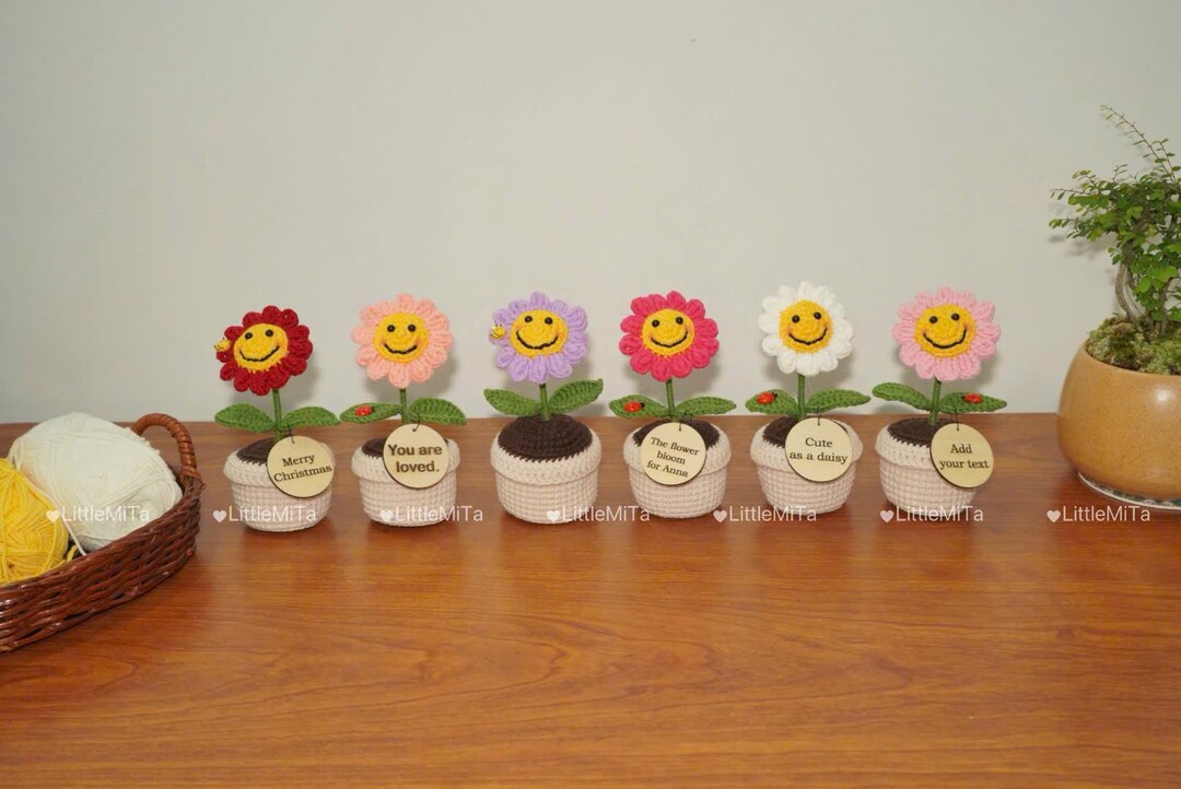 Handmade Crochet Smiley Flower Pot | Cute Desk Decor| Cute Desk ...