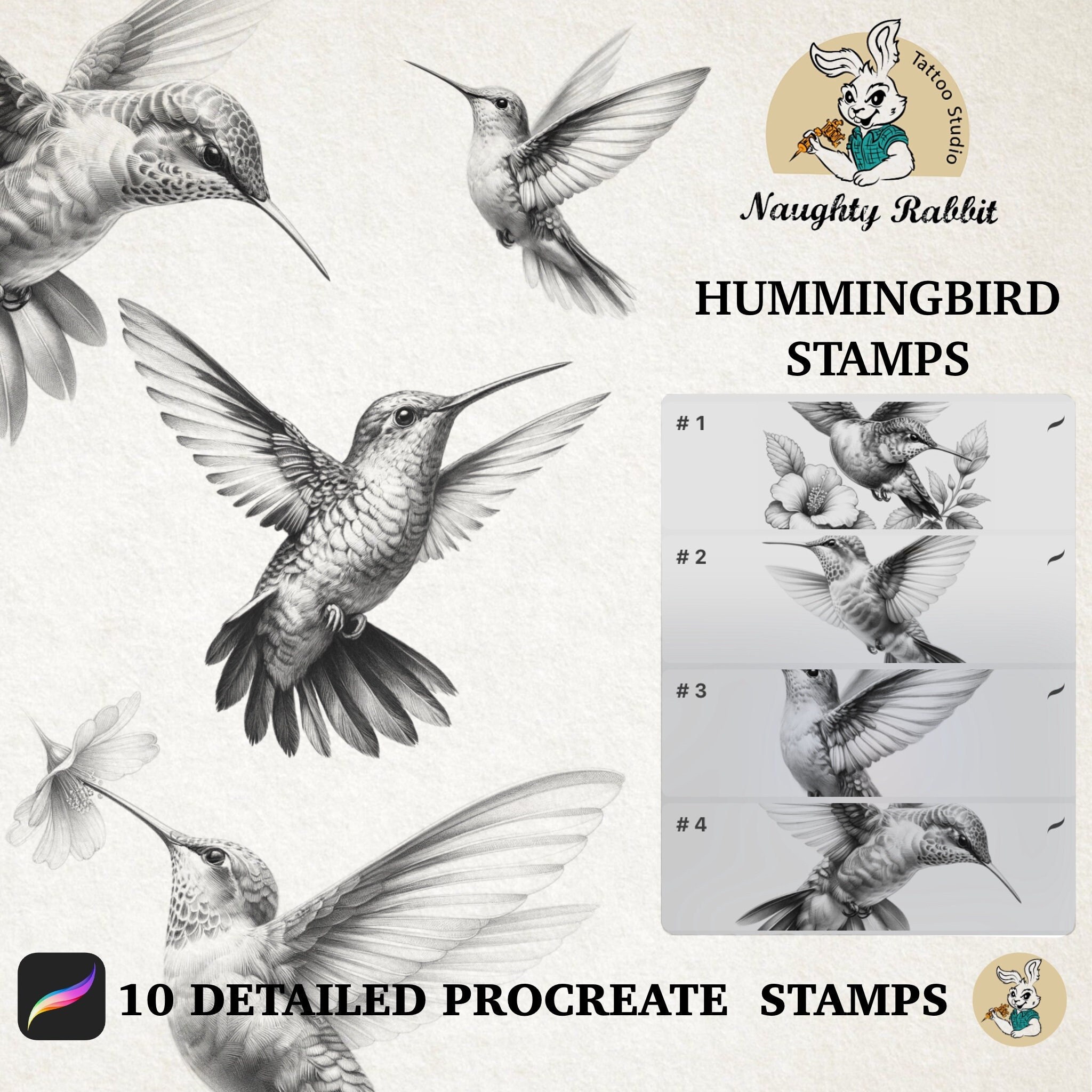 Hummingbird Stamp Brushes for Procreate - Etsy