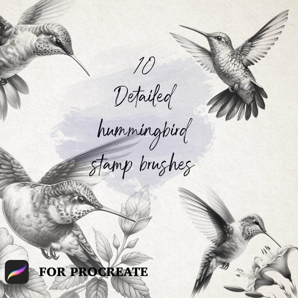 Hummingbird Stamp Brushes for Procreate - Etsy