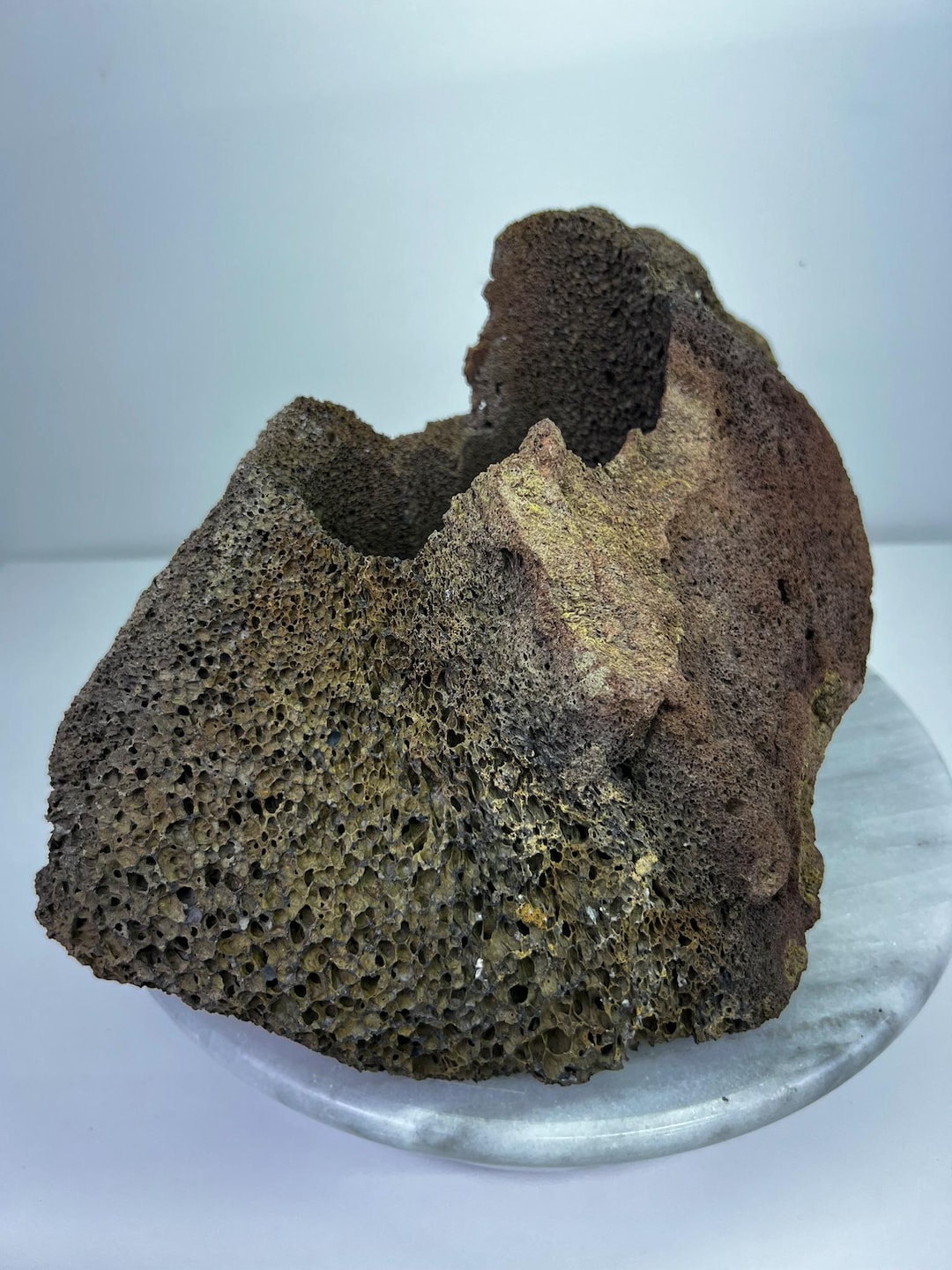 Hand-carved Volcanic Rock Planter, Unique Basalt Scoria, Natural Home ...