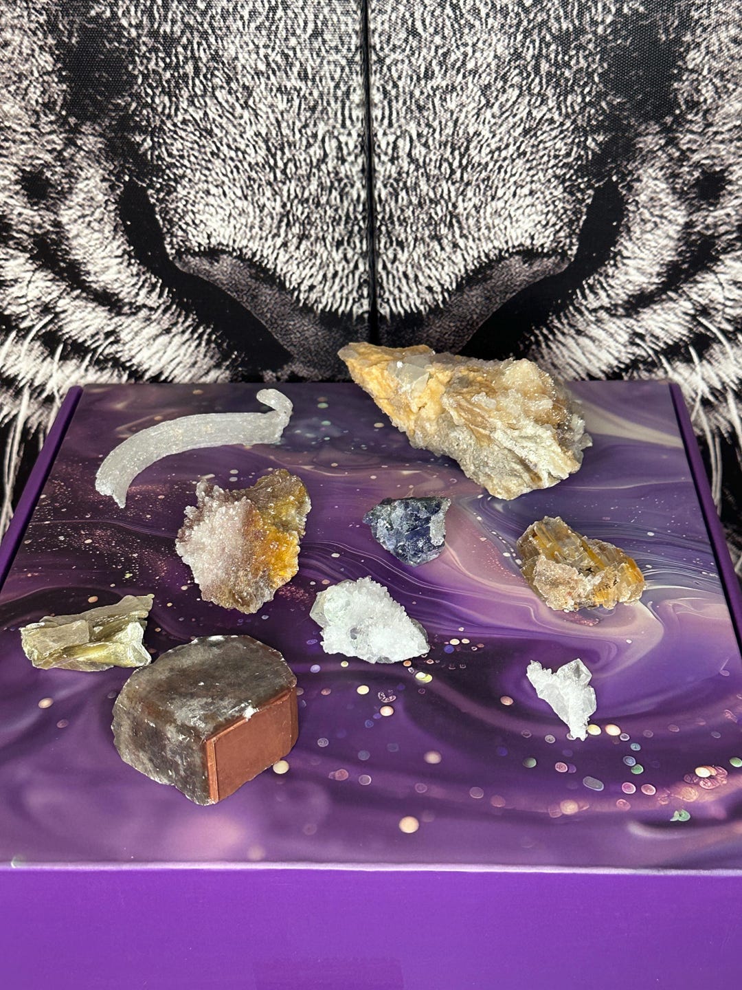 Curated Crystal Specimen Box of Fluorite With Quartz, Selenite, Calcite ...