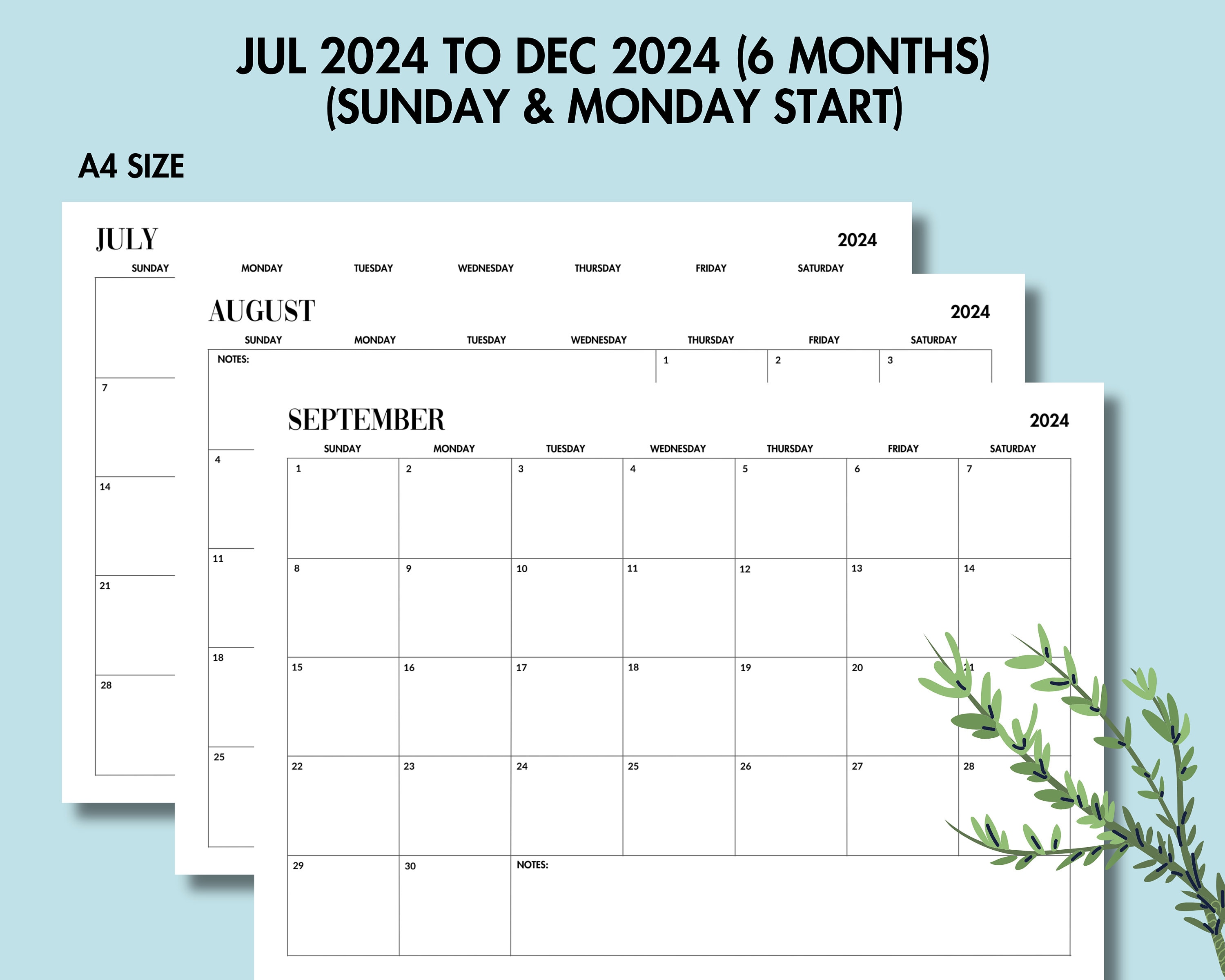 2025 Monthly Calendar Printable 2024 Calendar (jul to Dec) 2025 Blank ...