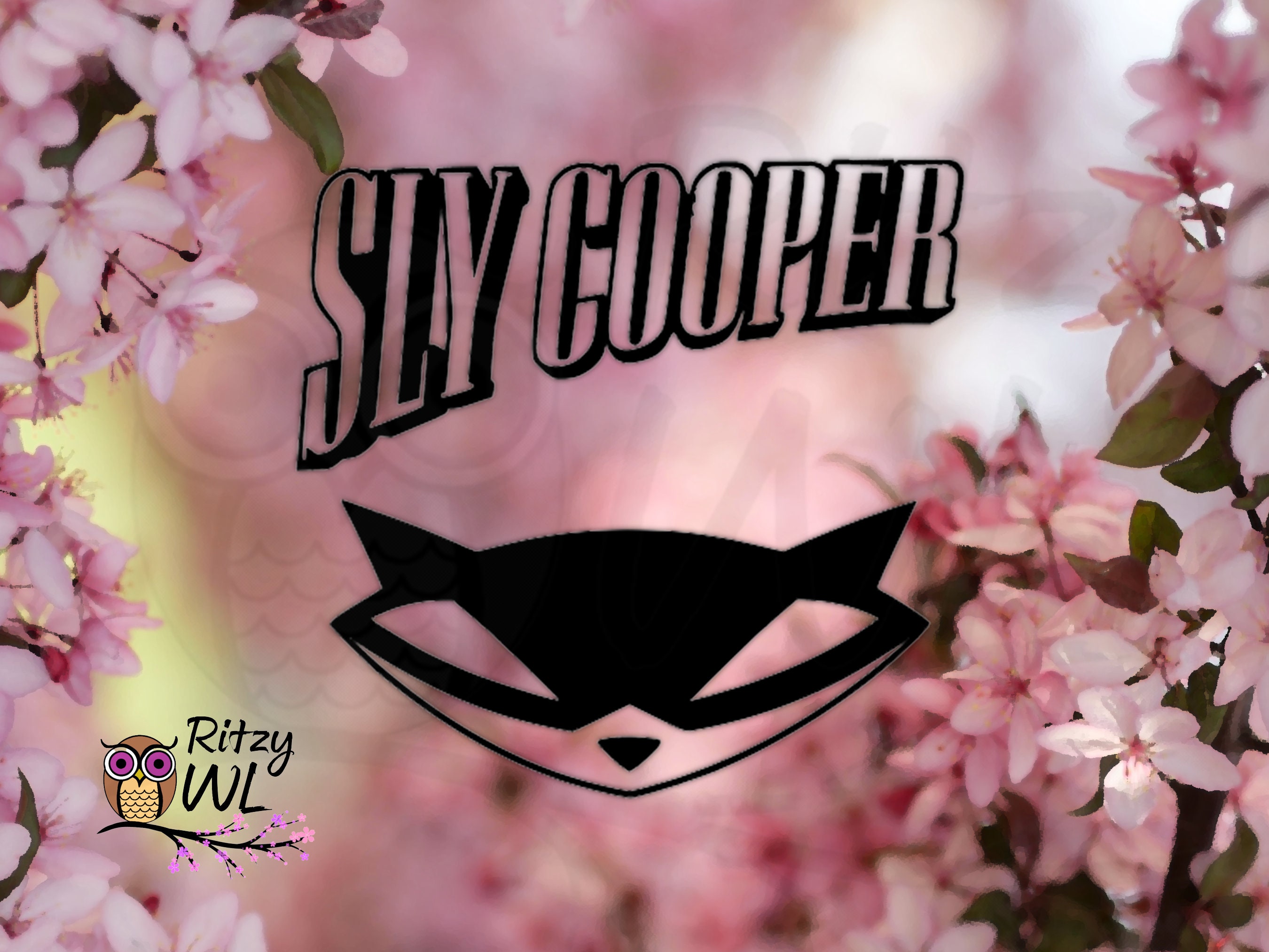 Sly Cooper Name and Logo Decal Set - Etsy