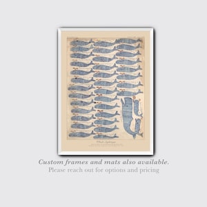 Antique Whale Print: 19th Century Whaling Ship Art - Etsy