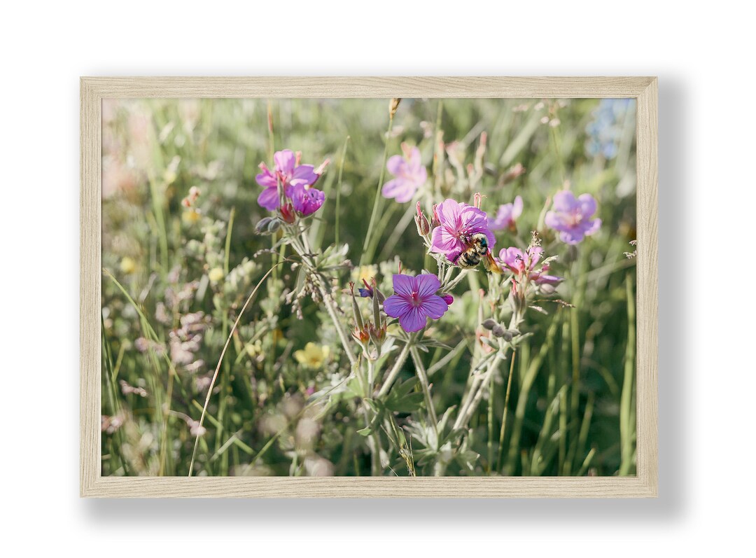 Bumblebee Photography | Downloadable Art Work | Bedroom Decor | Spring ...