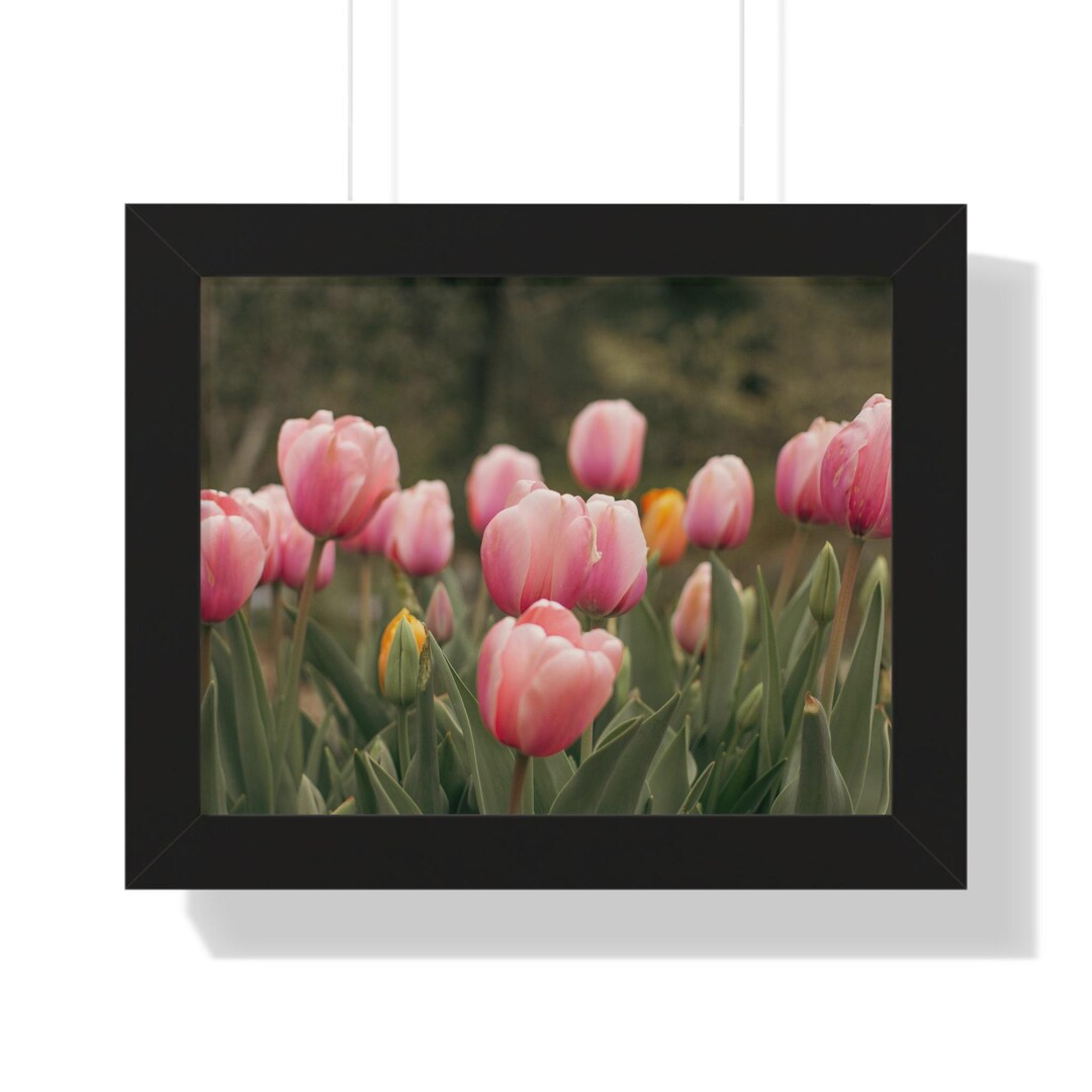 Framed Tulip Photography Poster, Floral Home Decor, Wall Art Print - Etsy