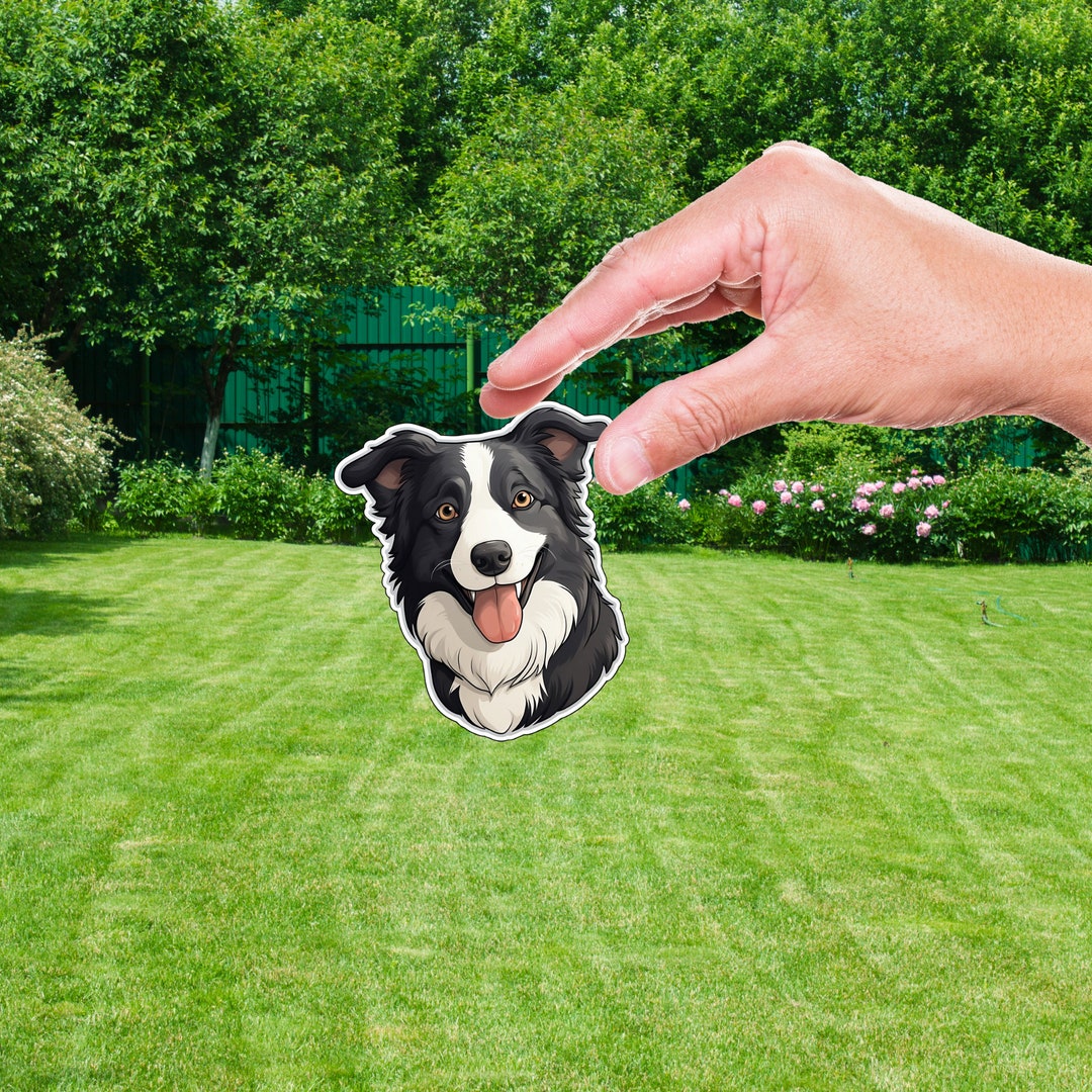 Border Collie Sticker Boarder Collie Gift Herding Border - Etsy