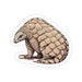 Pangolin Sticker Endangered Animal Decal Laptop, Water Bottle, Notebook ...