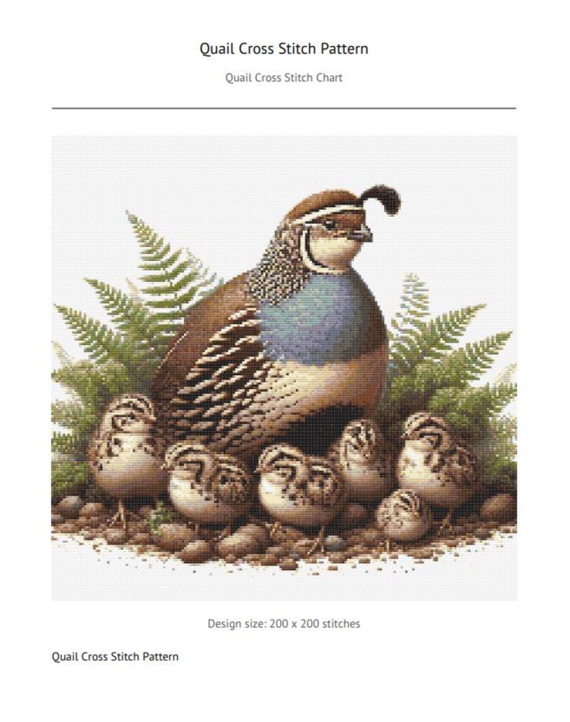 Quail and Chicks Cross Stitch Pattern, Farmhouse Bird Embroidery (PDF ...