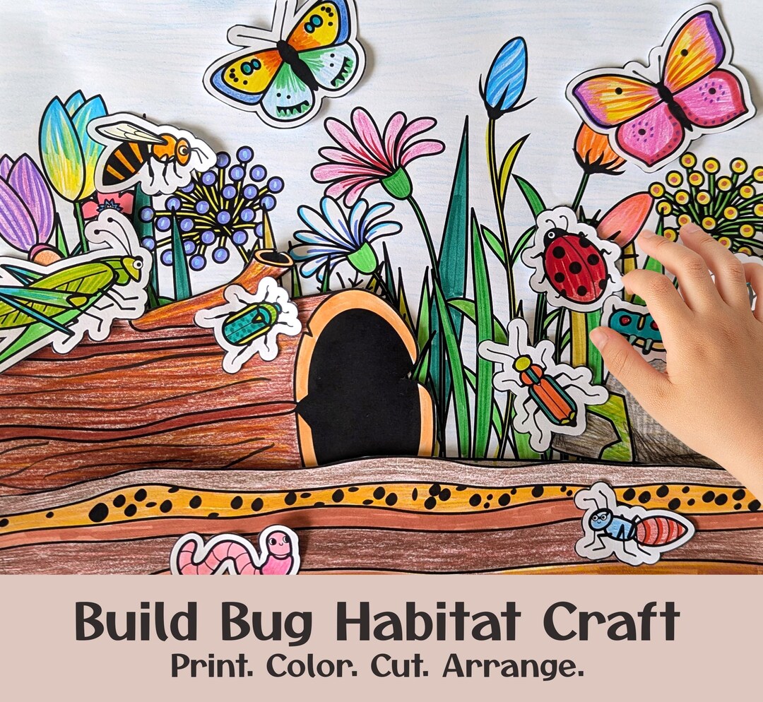 DIY Build a Bug Habitat Activity | Kids Insect Printable | Summer ...