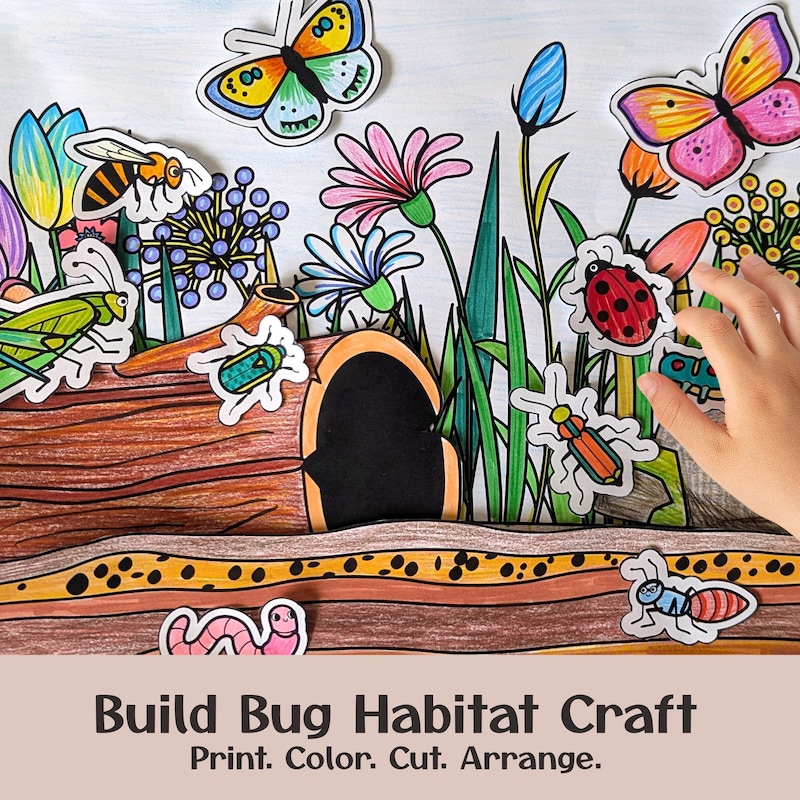 Insects for Projects - Etsy