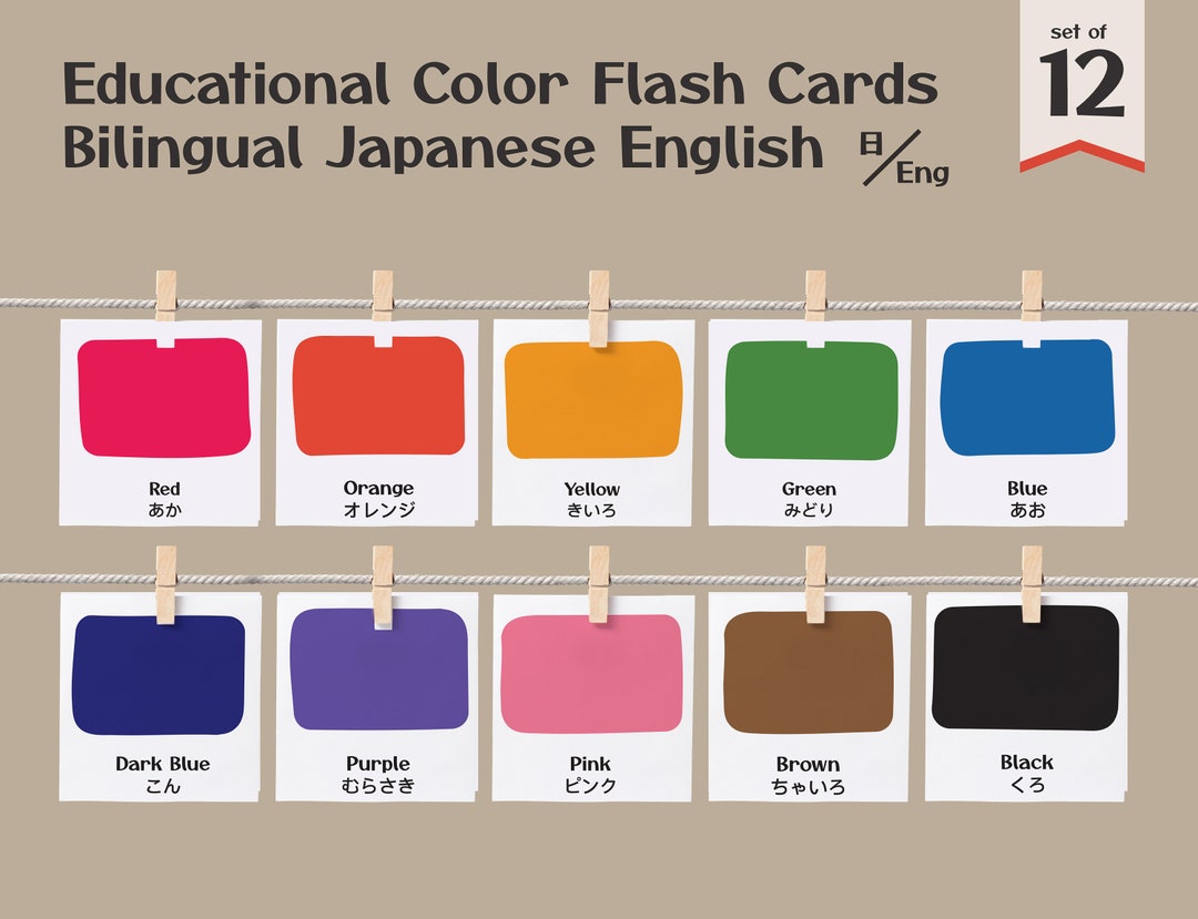 12 Color Montessori 3 Parts Learning Flash Card, Bilingual Japanese ...