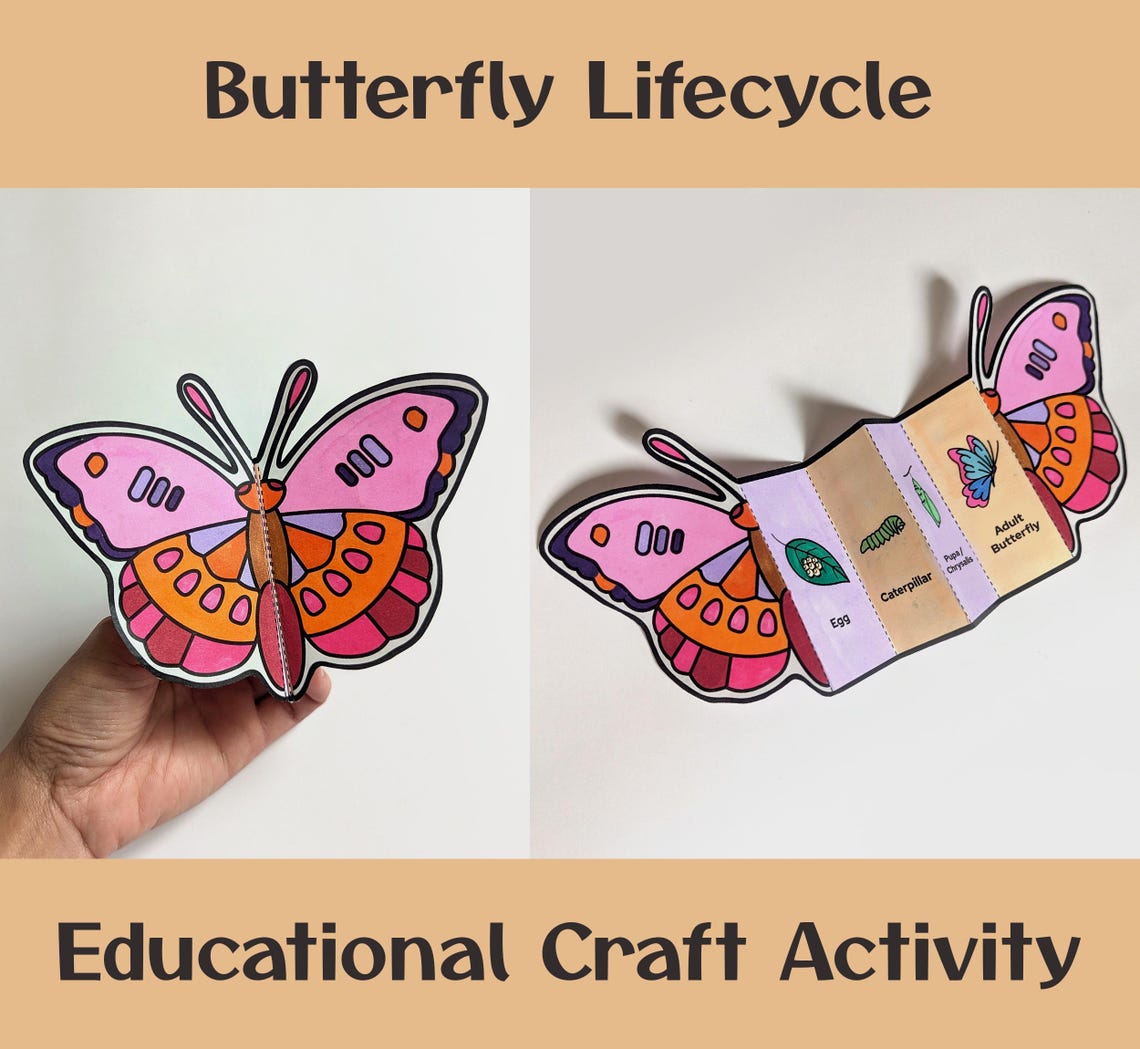 Egg to Butterfly Lifecycle Craft | Foldable Insect Science Printable ...