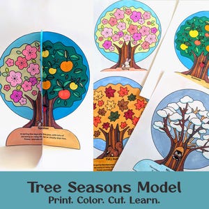 Four Seasons Tree Craft Printable | 3D Standing Paper Model for Kids ...