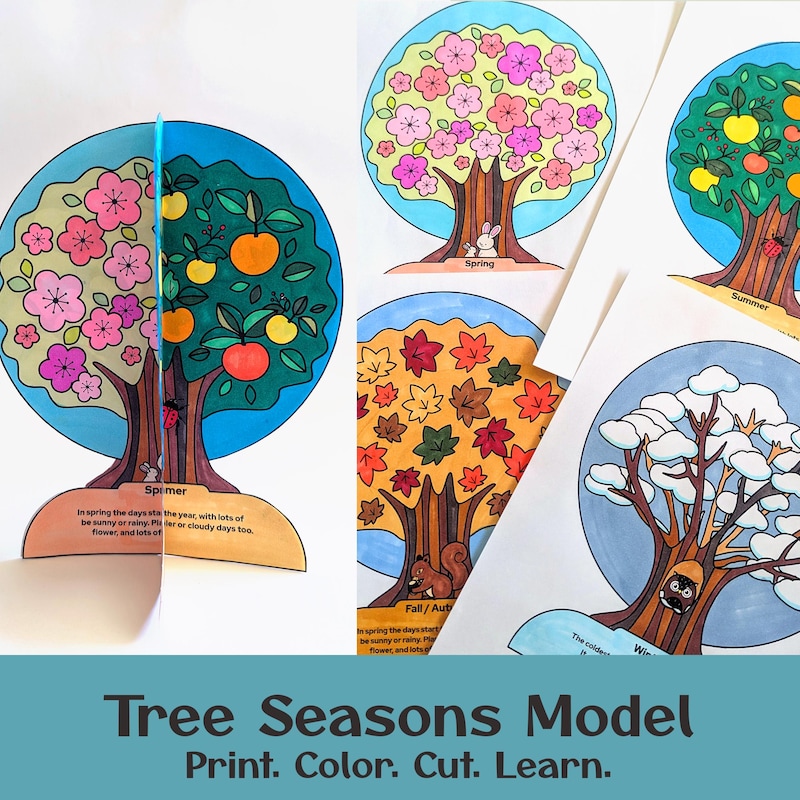 Four Season Tree - Etsy