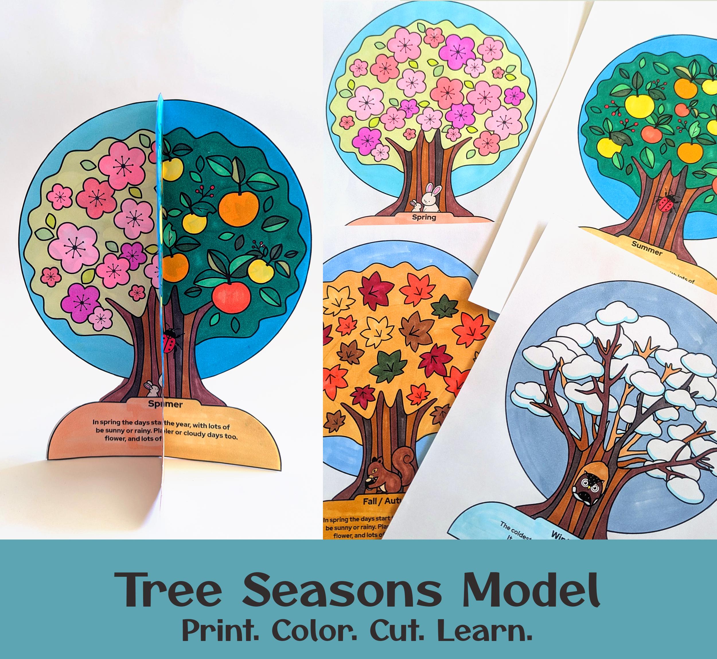 Four Seasons Tree Craft Printable | 3D Standing Paper Model for Kids ...