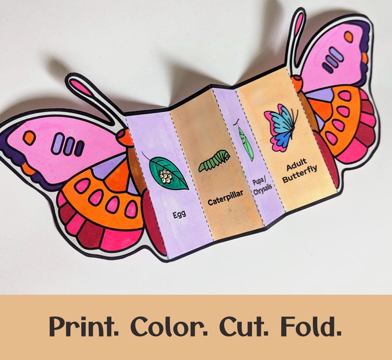 Butterfly Lifecycle Craft | Foldable Science Activity (digital Download ...