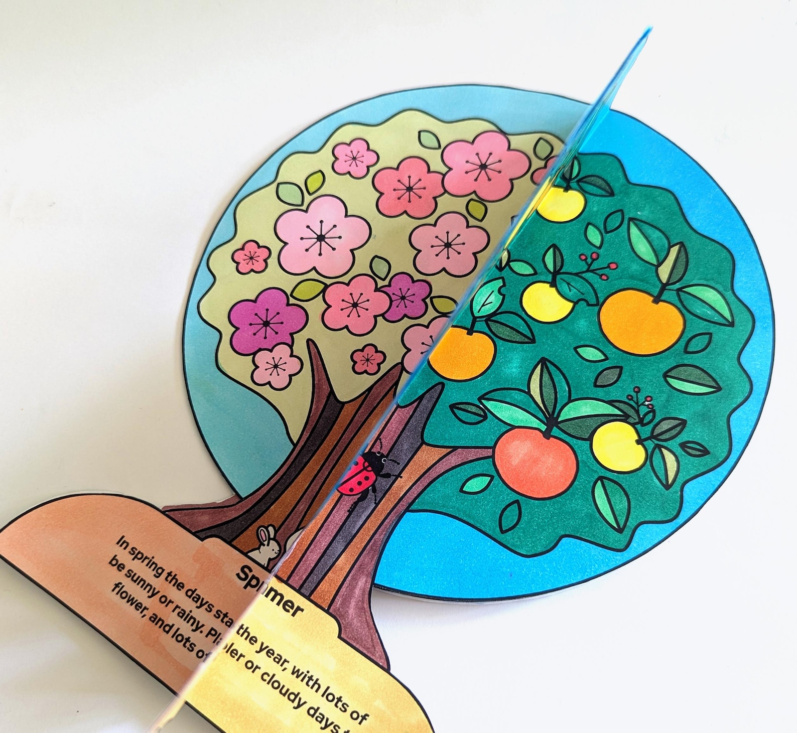 3D Printable Four Seasons Tree Model Craft for Science Units - Etsy
