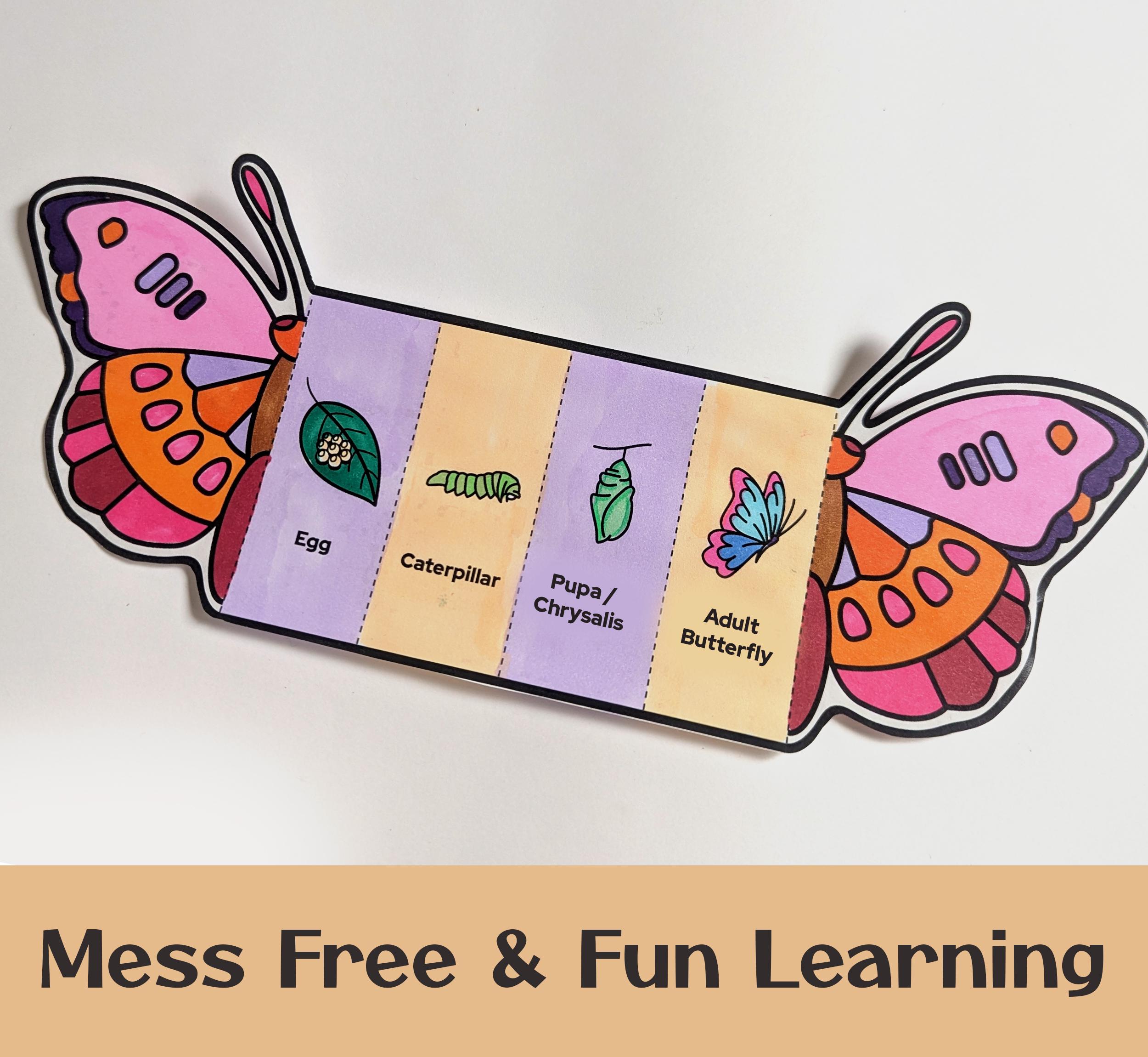 Egg to Butterfly Lifecycle Craft | Foldable Insect Science Printable ...