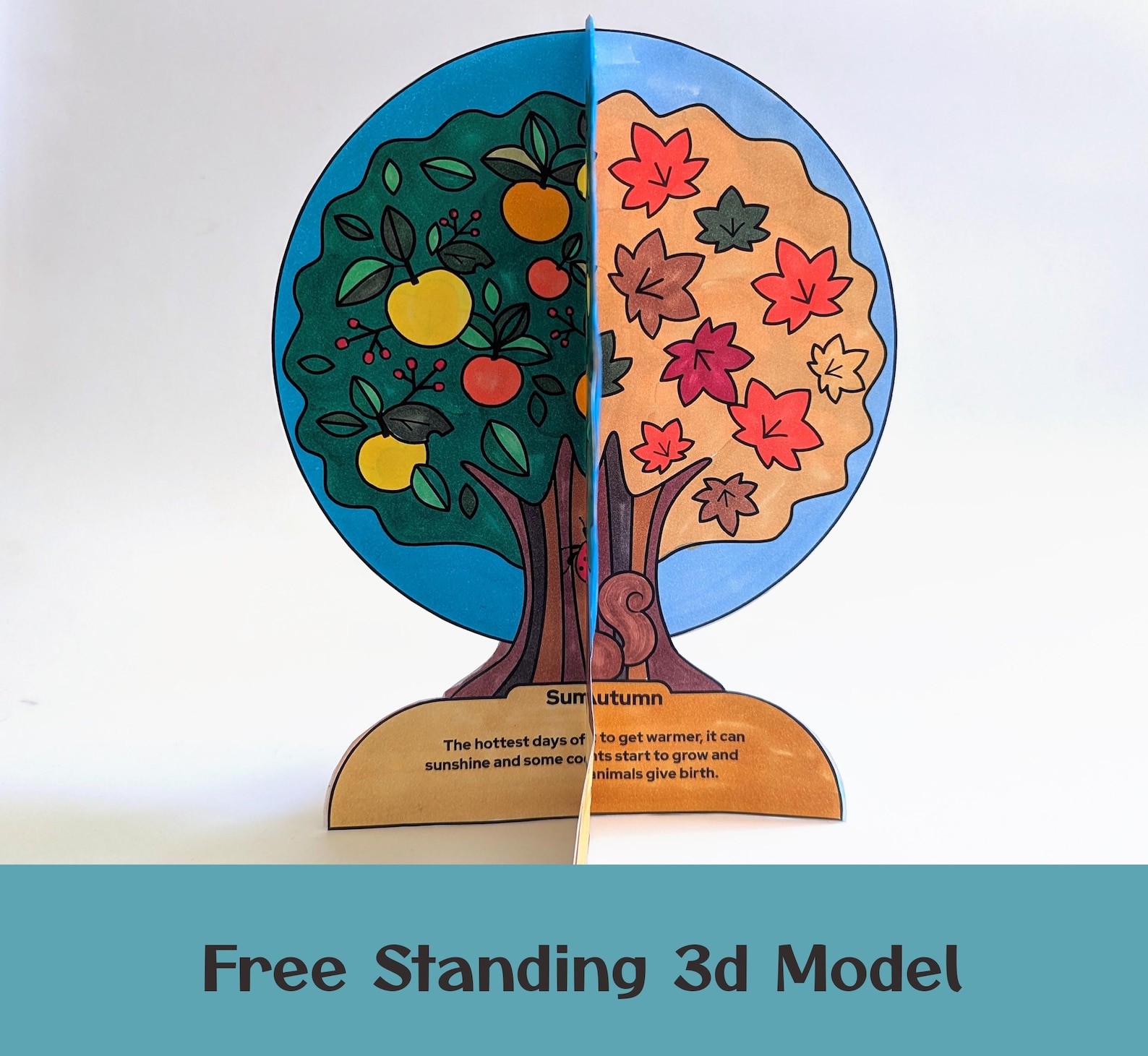 Four Seasons Tree Craft Printable | 3D Standing Paper Model for Kids ...