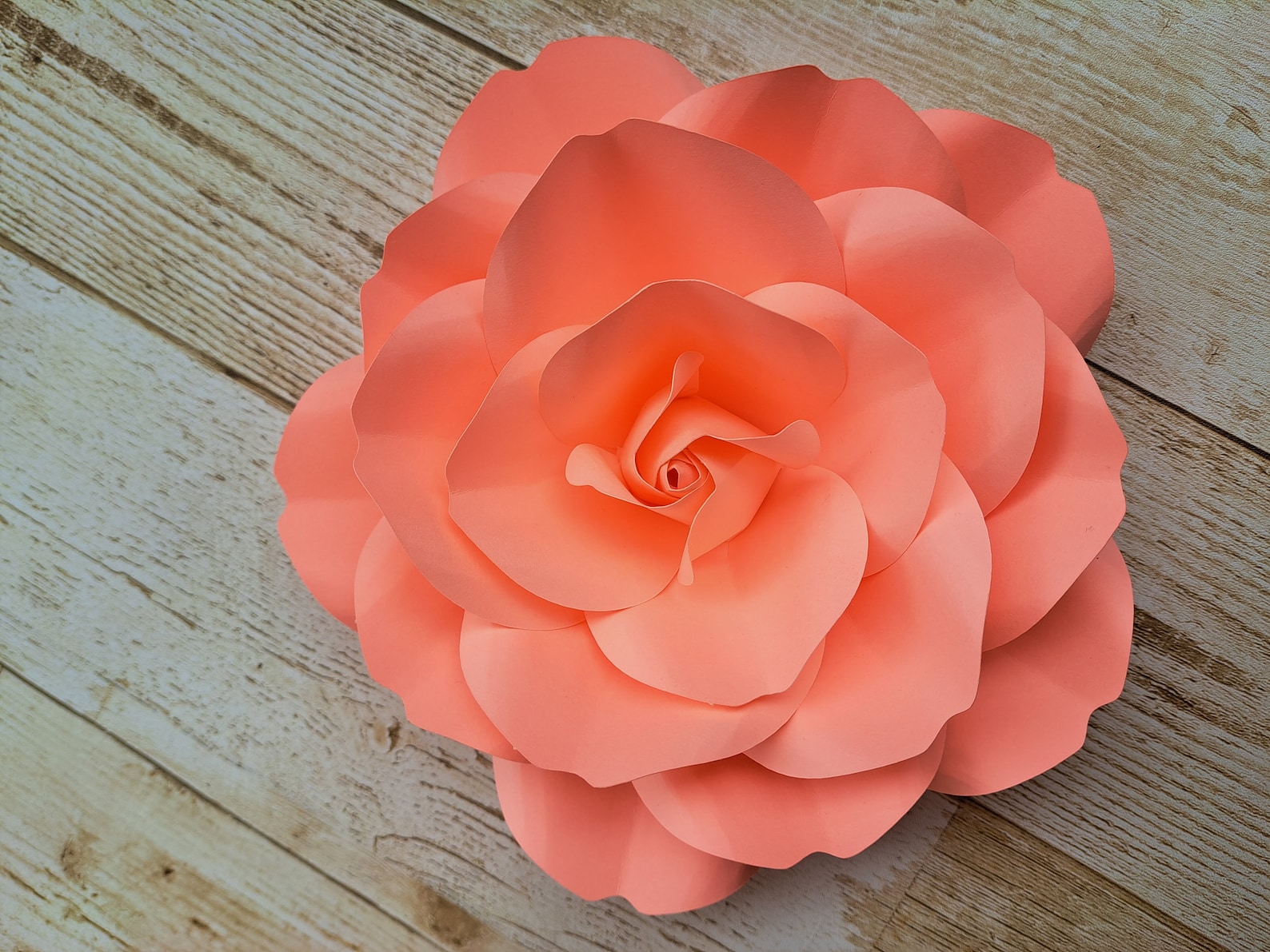 Large Paper Rose Template Rose Svg 3D Paper Flowers Paper - Etsy Canada