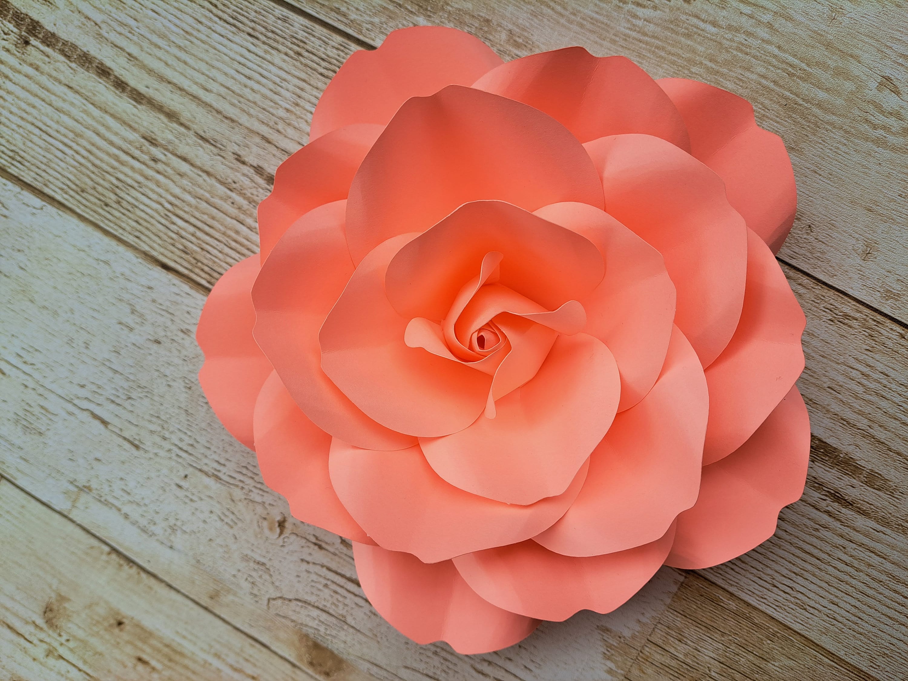 Large Paper Rose Template Rose Svg 3D Paper Flowers Paper - Etsy Canada