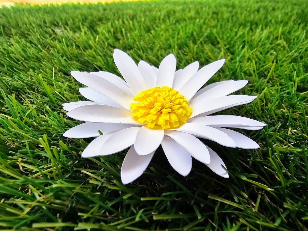 Paper Daisy Templates, Paper Daisy Flower3 Svg, 3D Paper Flowers Svg ...