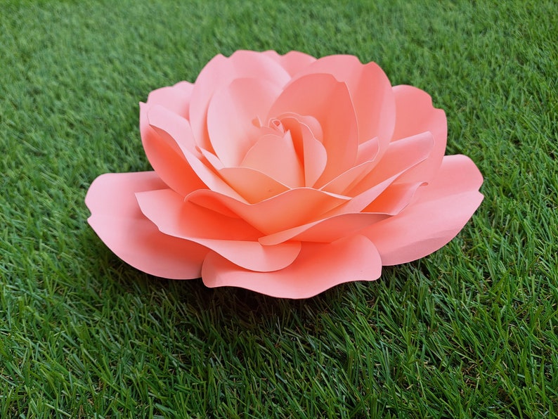 Large Paper Rose Template Rose Svg 3D Paper Flowers Paper - Etsy Canada