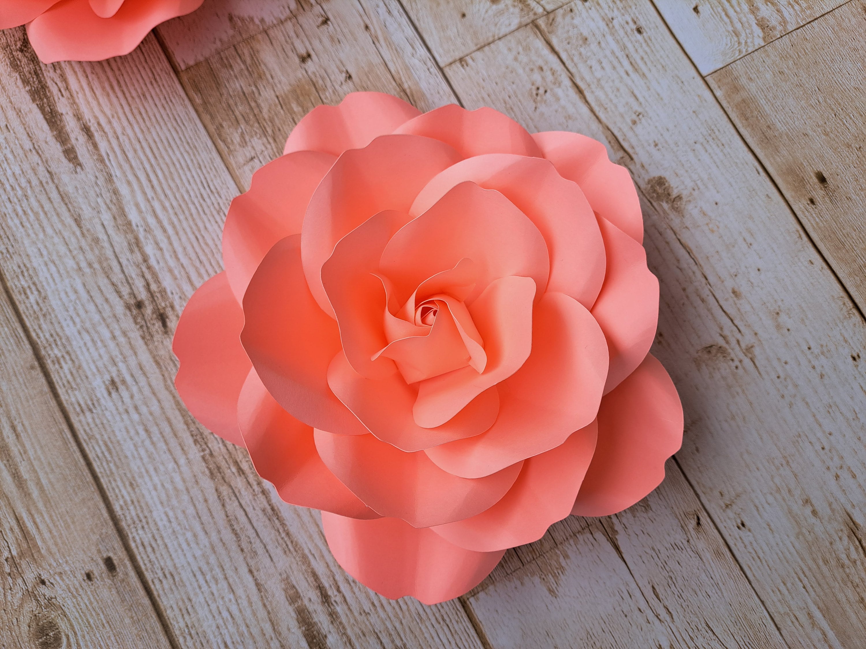 Large Paper Rose Template Rose Svg 3D Paper Flowers Paper - Etsy Canada
