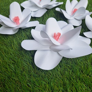 Paper Magnolia Templates, Paper Flower Svg, Printable Flower, Paper ...