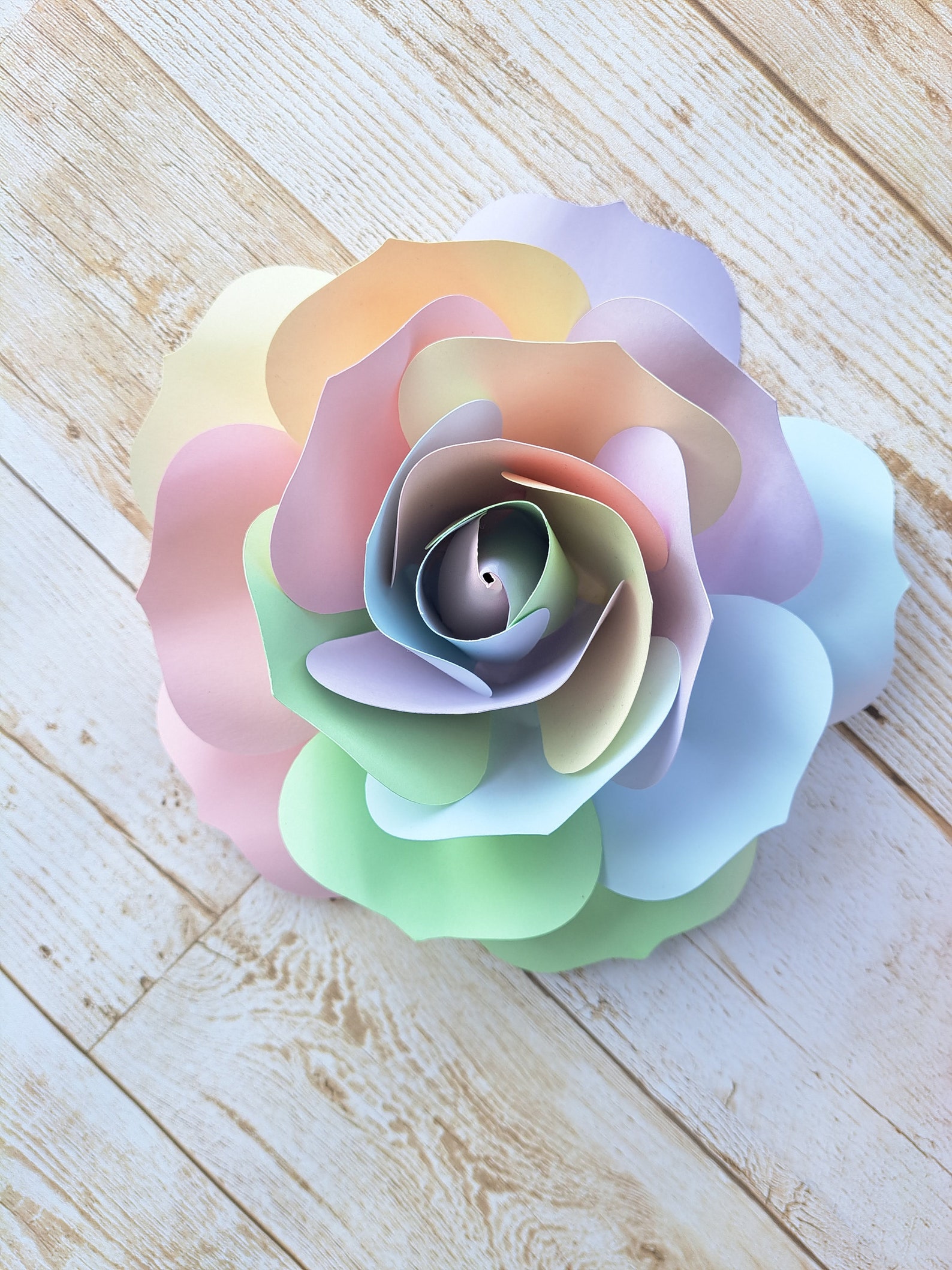 Paper Rose 4 Templates Paper Flower Svg 3D Paper Flowers - Etsy