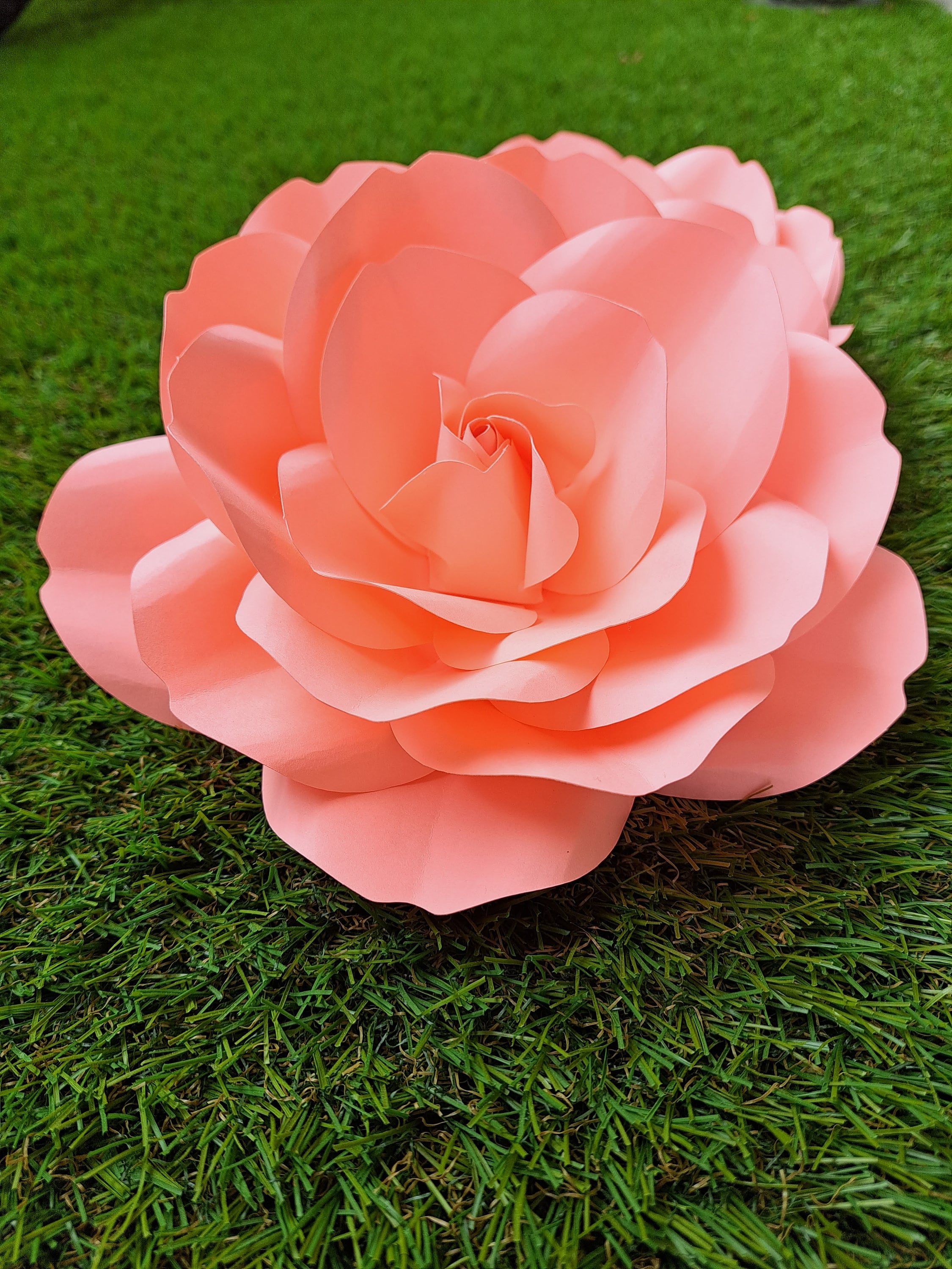 Large Paper Rose Template Rose Svg 3D Paper Flowers Paper - Etsy Canada