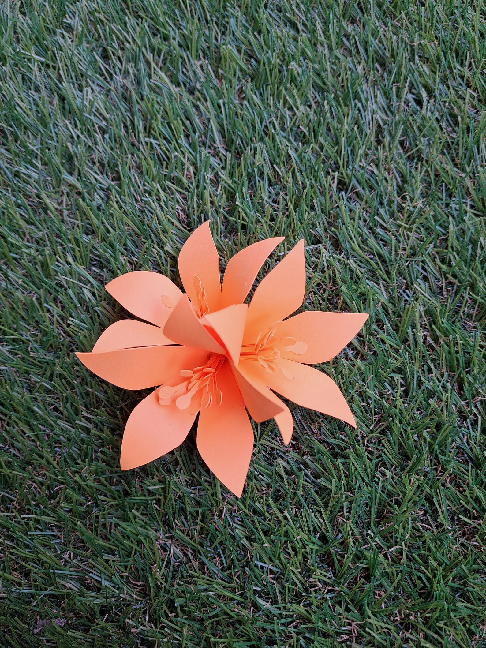 Lily Paper Flower Template Paper Flowers for DIY Projects - Etsy