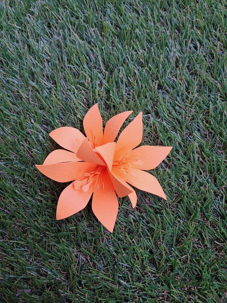 Lily Paper Flower Template Paper Flowers for DIY Projects - Etsy