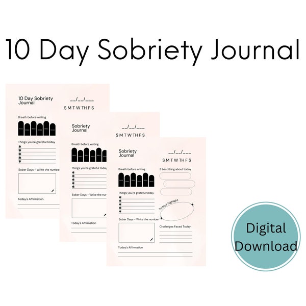 Sobriety Journal - Etsy