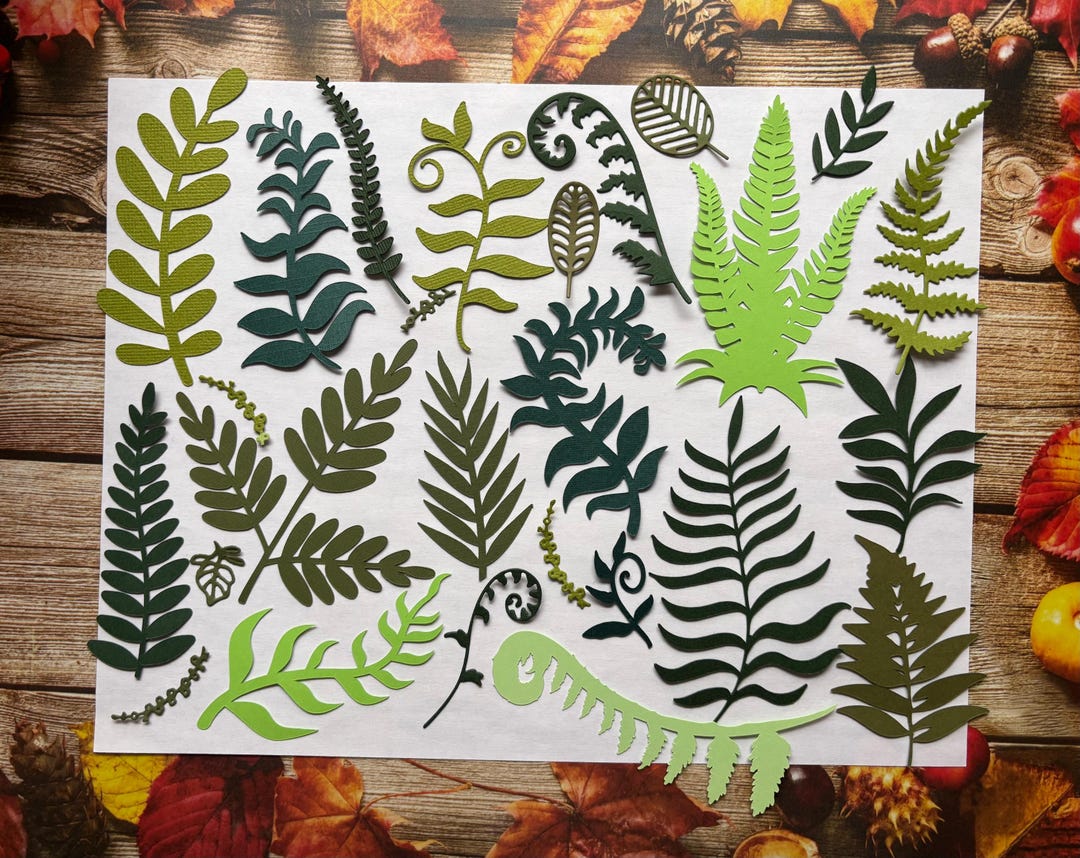Fern Paper Die Cut Outs - Etsy