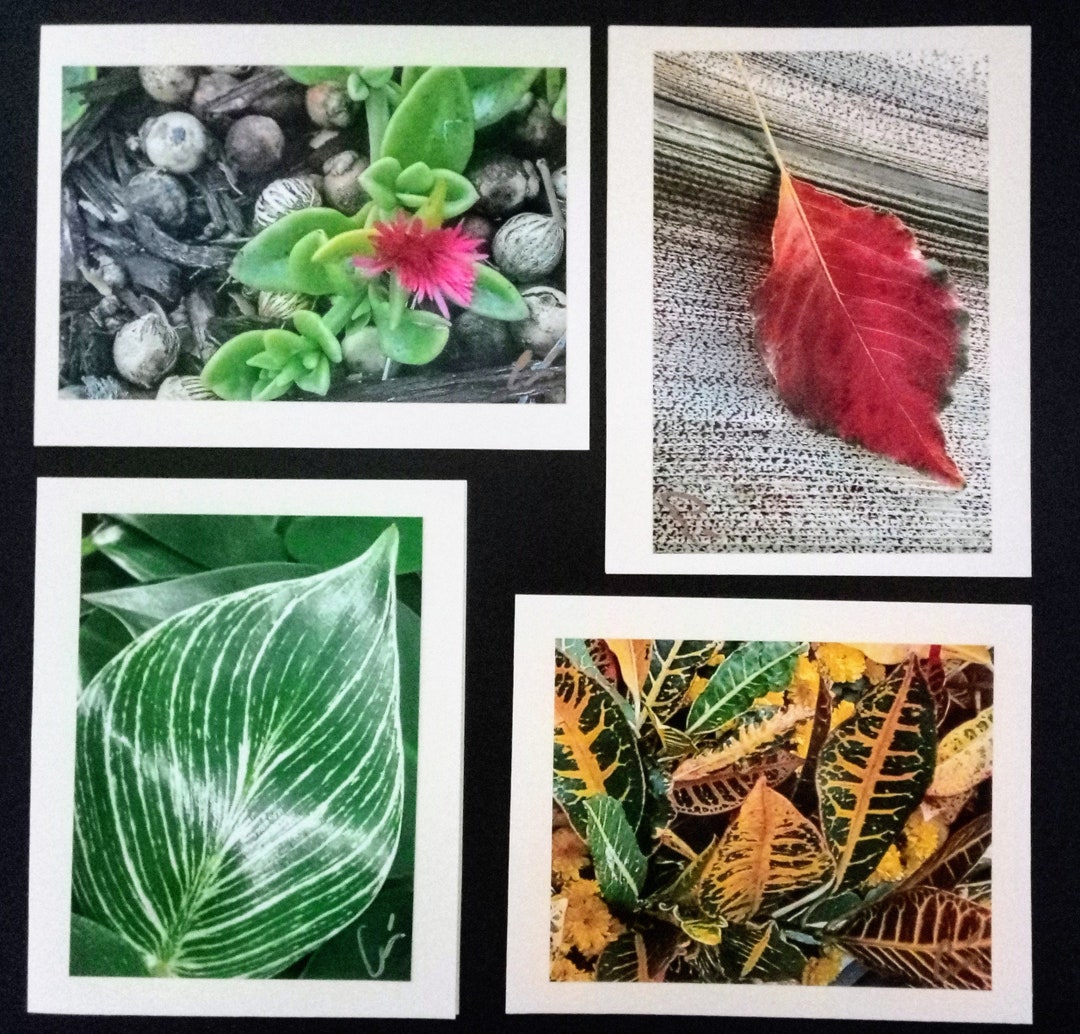 4 DELUXE FOLIAGE CARDS Handmade Multi Occasion Signed Designer Greeting ...