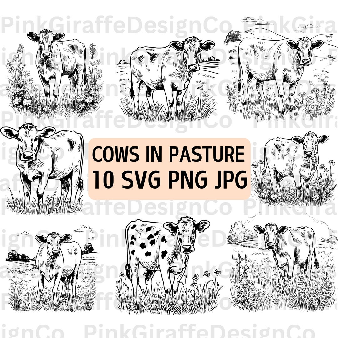 Detailed Sketch of Cows in Pasture SVG Bundle, Cute Cow PNG File ...