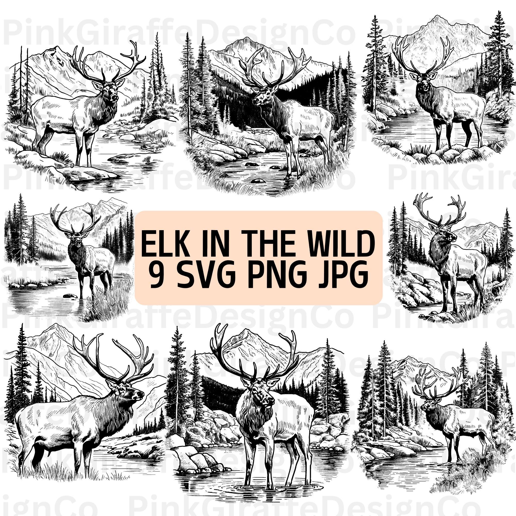 Bull Elk Wilderness Scene SVG Bundle, Mountain Animal Wildlife PNG ...