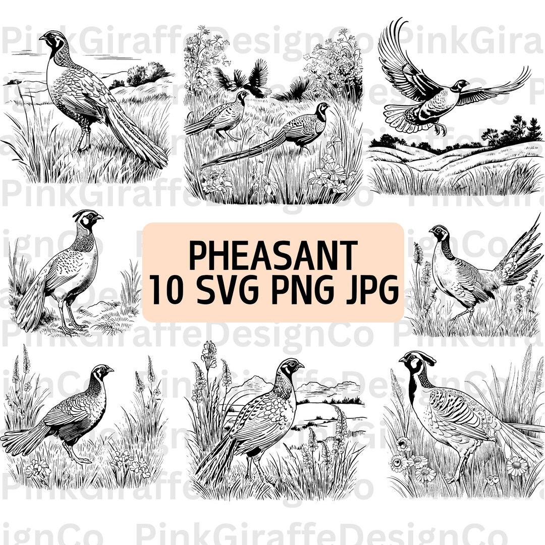 Pheasant Grassland Scene SVG Bundle, Detailed Pheasant PNG File, Bird ...