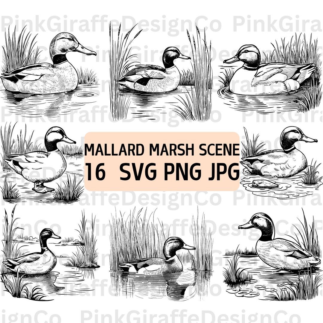 Mallard in the Wilderness Marsh Scene SVG Bundle, Detailed Bird Duck ...